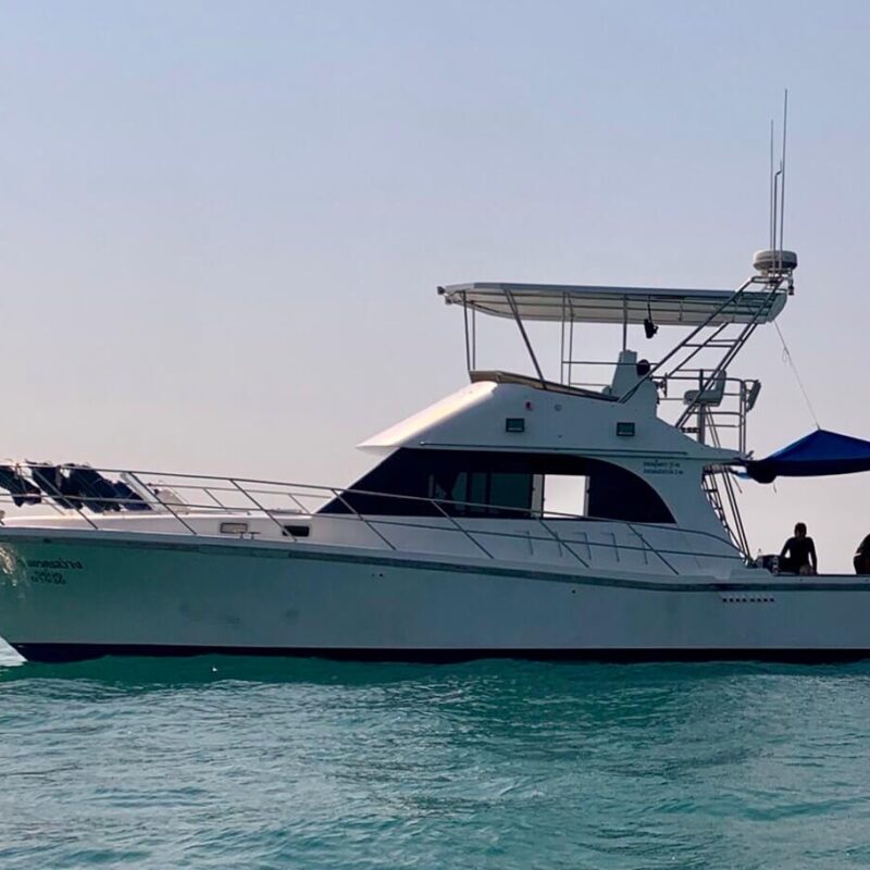 Buy custom-made boat hardtops