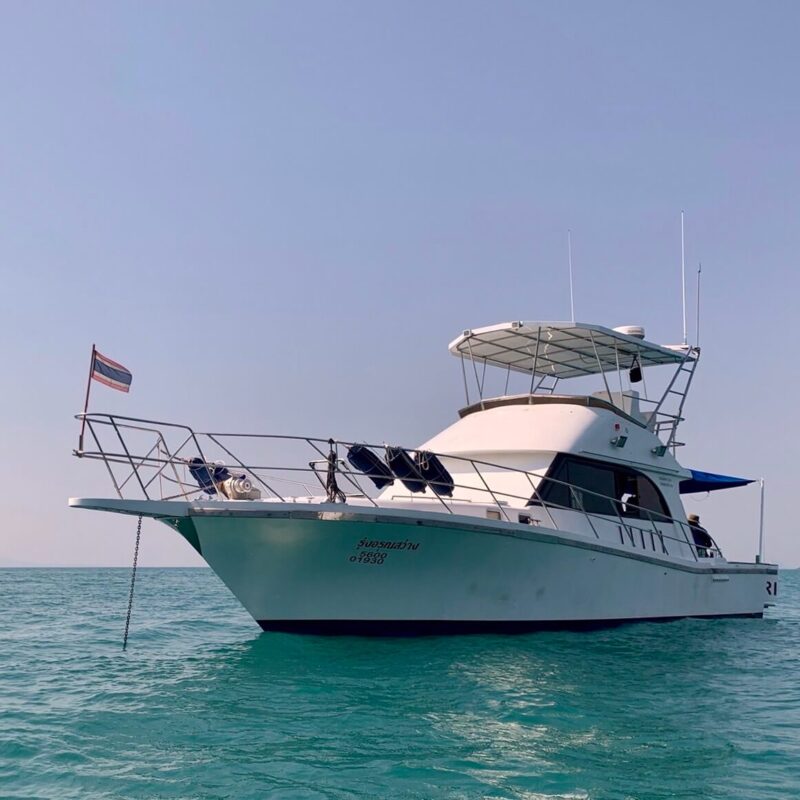 Buy custom-made boat hardtops